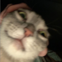 Divine Cheats's Vouches